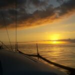Puerto Colon: Whale-Watching Sailing Tour with Meal & a Swim - The Itinerary in Detail