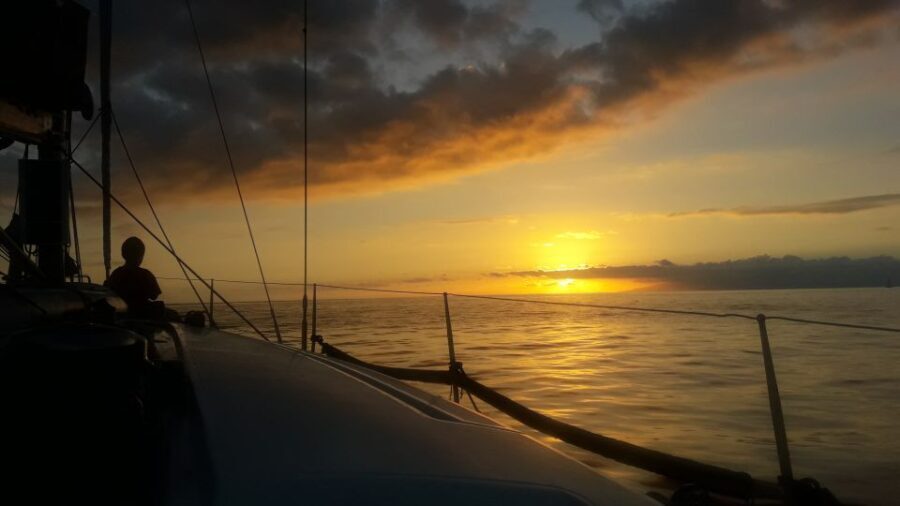 Puerto Colon: Whale-Watching Sailing Tour with Meal & a Swim - The Itinerary in Detail