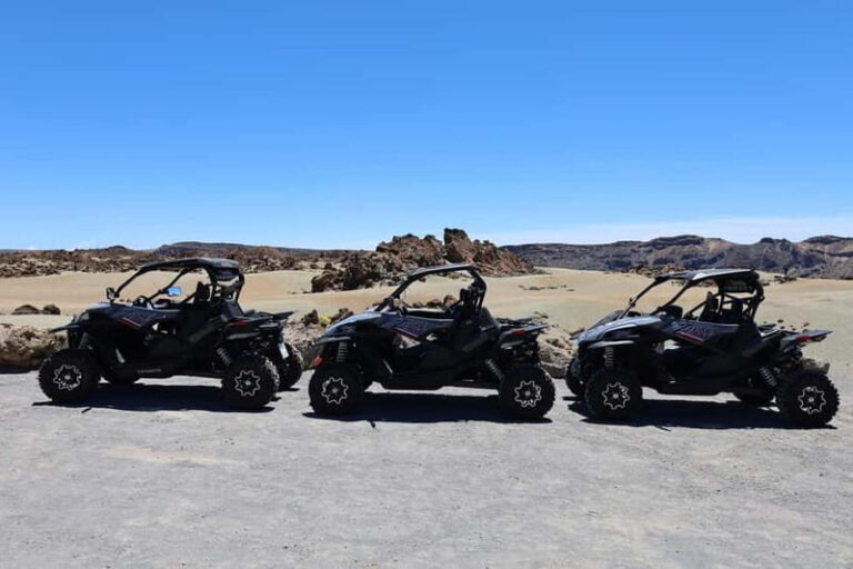 Puerto de la Cruz: Buggy Teide National Park Tour Lunar Land - Who Will Love This Tour?