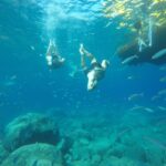 Puerto de Mogan: Boat and Snorkeling Trip - Why Choose the Puerto de Mogan Boat and Snorkeling Trip?