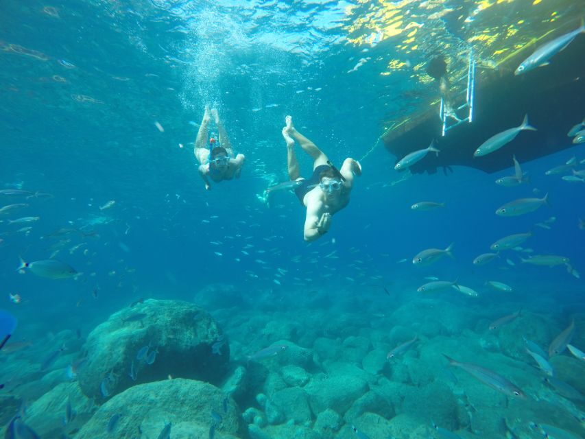 Puerto de Mogan: Boat and Snorkeling Trip - Why Choose the Puerto de Mogan Boat and Snorkeling Trip?