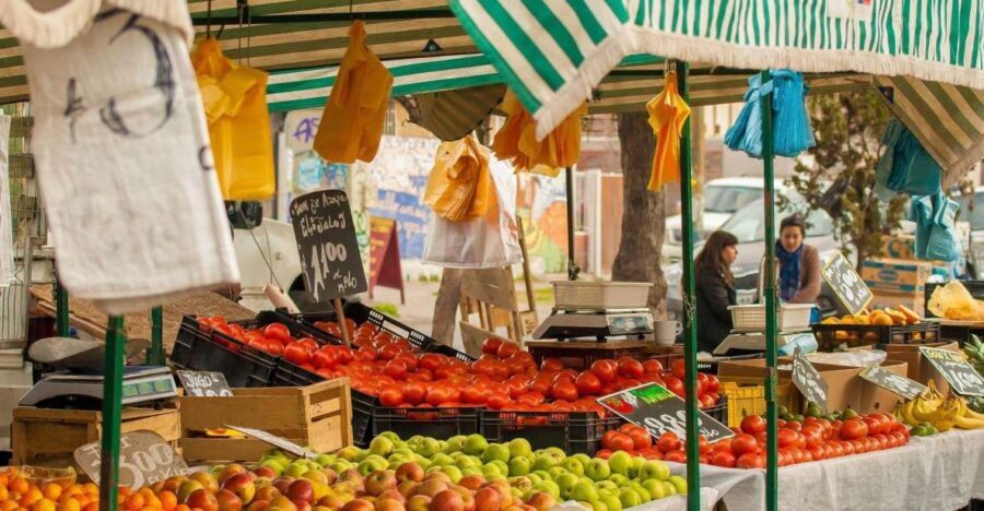 Puerto de Mogan: Friday Market Experience - A Closer Look at the Itinerary