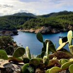 Puerto de San Miguel: Can Marçá Cave Guided Tour with Entry - Exploring the Itinerary