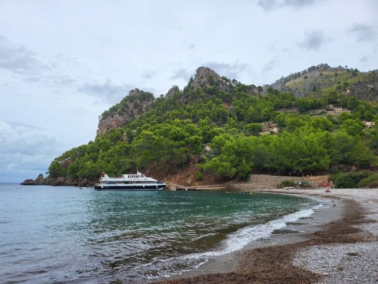 Puerto de Sóller: Cala Tuent Return Boat Trip - Why Travelers Love This Experience