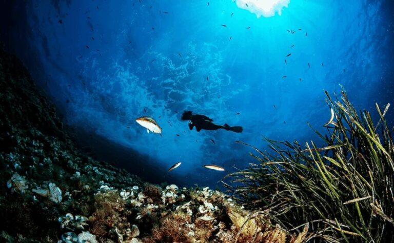 Puerto de Soller: Train and Discover Scuba Diving - An Authentic Combination of Land and Sea
