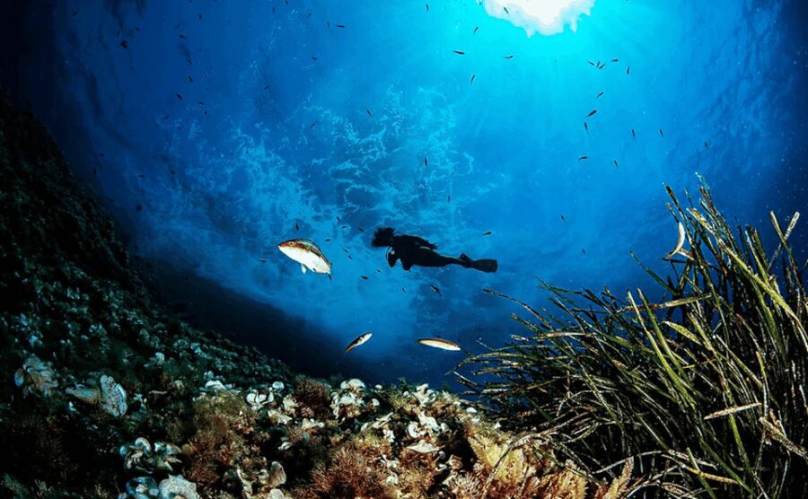 Puerto de Soller: Train and Discover Scuba Diving - An Authentic Combination of Land and Sea
