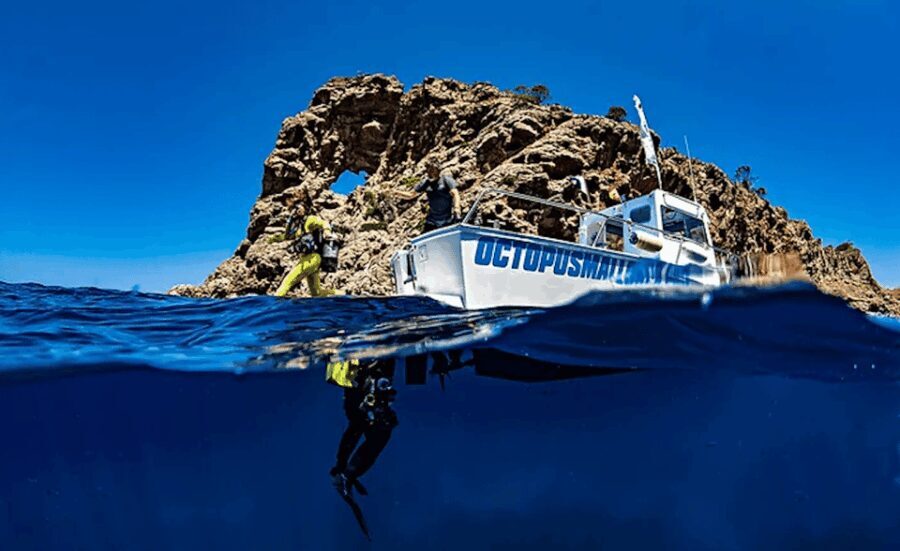 Puerto de Soller: Train and Guided Scuba Diving Experience - What to Expect from This Tour