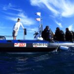 Puerto del Carmen: Guided Scuba Dive (certified only) - Why This Tour Appeals to Certified Divers