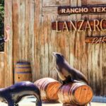 Puerto del Carmen: Rancho Texas Lanzarote Park Entry Ticket - Who Should Consider Visiting?