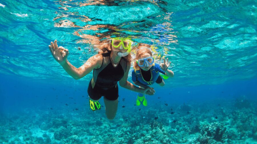 Puerto del Carmen: Snokel tour with an instructor - Detailed Breakdown of the Experience