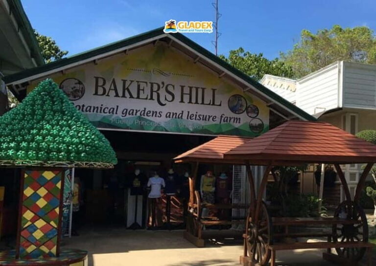 Puerto Princesa: City Highlights Half-Day Tour - Who Will Love This Tour?