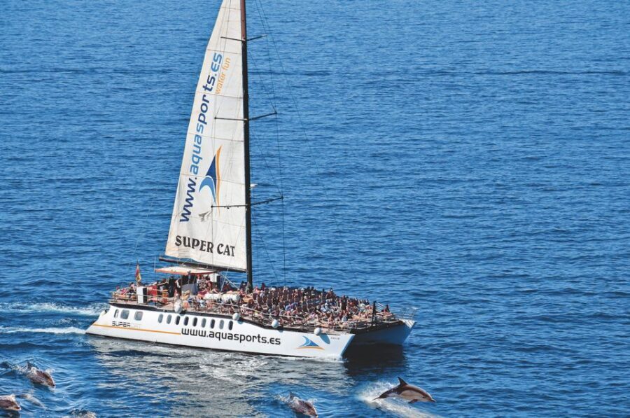 Puerto Rico : 2 hour Dolphin Catamaran Excursion - The Itinerary and What You’ll Experience