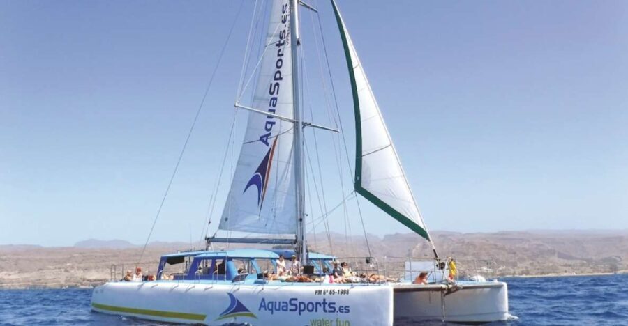 Puerto Rico: 4-Hour Catamaran Excursion in the South - Value and Practical Tips