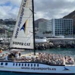 Puerto Rico de Gran Canaria: Premium Dolphin Catamaran Tour - Who Will Love This Tour?
