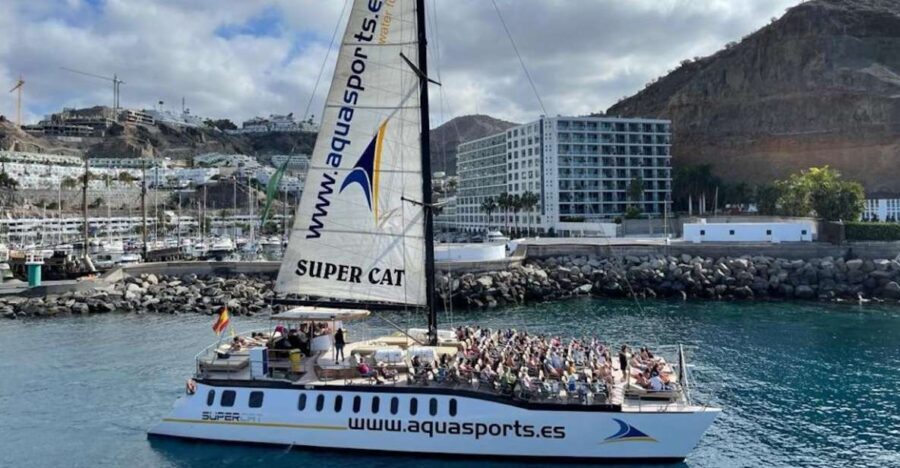 Puerto Rico de Gran Canaria: Premium Dolphin Catamaran Tour - Who Will Love This Tour?