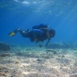 Pula: Private Introduction to Scuba Diving - The Underwater Experience