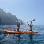 Punta de Teno: Kayak Safari overlooking Los Gigantes Cliffs - What to Expect During the Tour