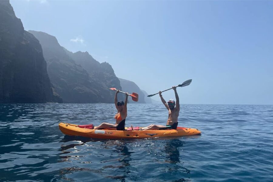 Punta de Teno: Kayak Safari overlooking Los Gigantes Cliffs - What to Expect During the Tour