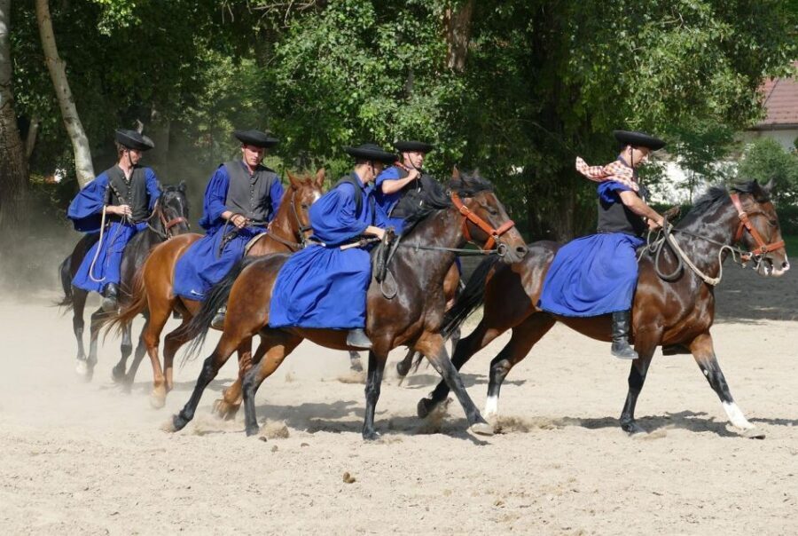 Puszta Tour and Horse Show - Value and Practicalities