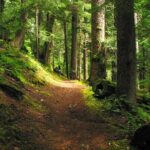 Pyrenees Hiking Experience from Barcelona. Small Group Tour - What’s Included and What’s Not