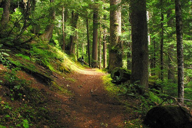 Pyrenees Hiking Experience from Barcelona. Small Group Tour - What’s Included and What’s Not