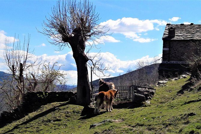 Pyrenees Private Tour from Barcelona with Easy Hike & Cogwheel Train - An In-Depth Look at the Itinerary and Experience