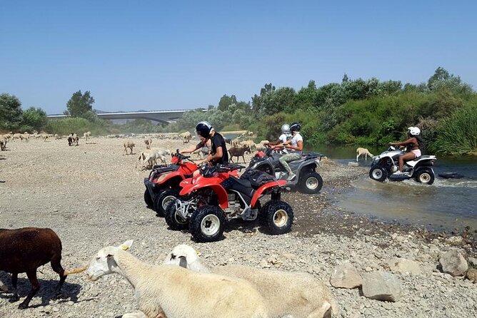 Quad Bikes for Guided Tours. - The Introduction to Your Off-Road Adventure