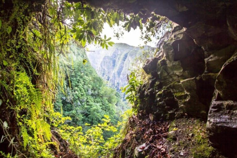 Queimadas Caldeirão Verde Madeira Island Walk - Authentic Experiences and Real Reviews
