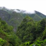 Queimadas Caldeirão Verde Walking tour with guide - The Itinerary: A Walk Through Madeira’s Natural Wonderland