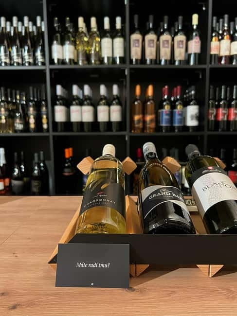 Quick Wine Tasting in Michalská - What You Can Expect During Your Visit