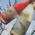 Quinta da Raza Natural Wines - The Experience: What Makes It Special