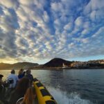Quinta do Lorde: Kayak Experience in Ponta de São Lourenço - Authentic Traveler Perspectives