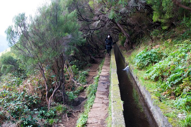 Rabaçal Hiking Tour - Detailed Breakdown of the Rabaçal Hiking Experience