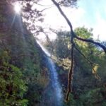 Rabaçal: Lagoa do Vento, Levada Risco and Levada 25 Fontes - The Value of This Tour
