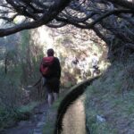 Rabaçal / Risco / 25 Fountains Full-day walk - Transportation and Comfort