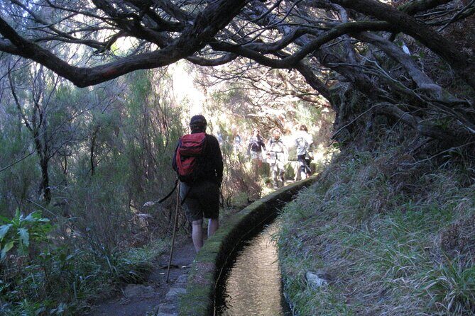 Rabaçal / Risco / 25 Fountains Full-day walk - Transportation and Comfort