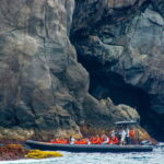 Rabo de Peixe - Porto Formoso & Santa Iria Super Expedition - Authenticity and Value