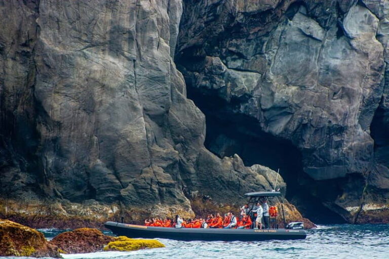 Rabo de Peixe - Porto Formoso & Santa Iria Super Expedition - Authenticity and Value
