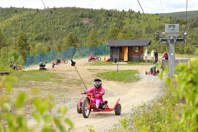 Racing Mountain Cart in Dagali near Geilo, Norway - The Scenic and Practical Appeal