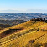 Radda in Chianti: Wine Tasting Tour with lunch at the Winery - FAQs