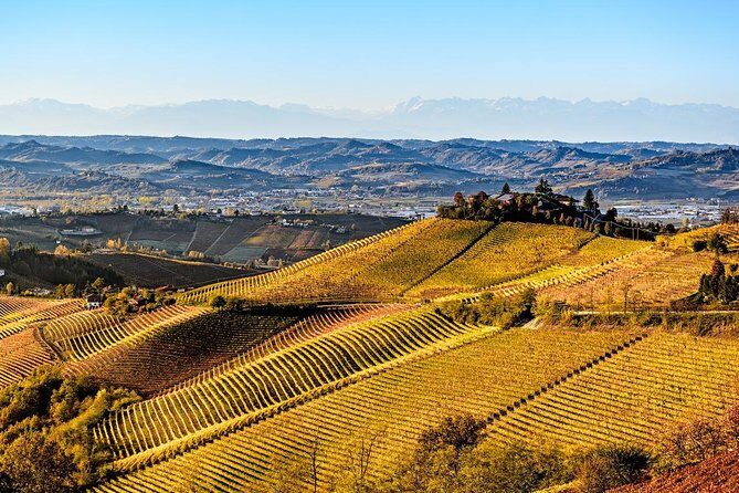 Radda in Chianti: Wine Tasting Tour with lunch at the Winery - FAQs