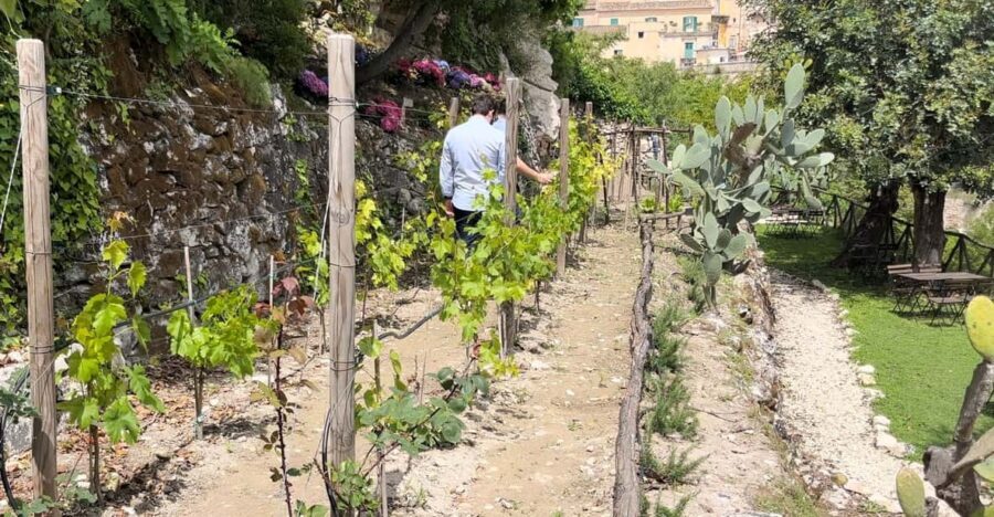 Radici: IImmerse yourself in the heady scents of our garden - Why This Tour Works Well