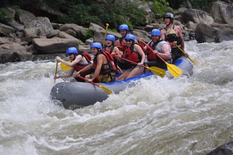 Rafting Tour, Transfer & Combo Options with Veg Lunch Option - Detailed Breakdown of the Itinerary