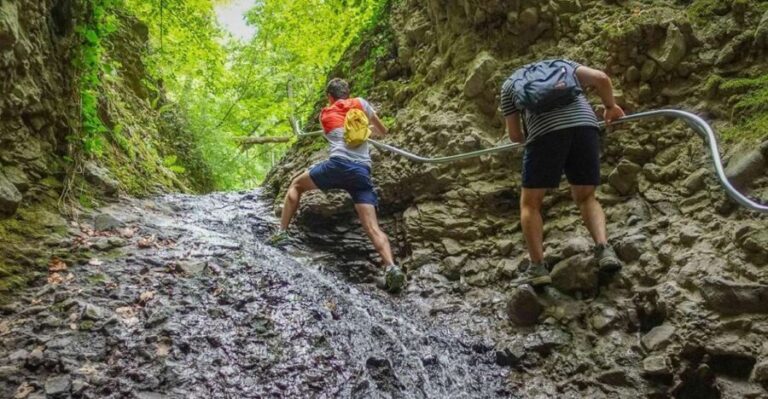 Ram Gorge Hiking Adventure - Who Would Love This Tour?