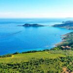 Ramatuelle: Tracks & Tasting Winery Tour by Mountain E-Bike - Saint-Tropez Sightseeing: Balancing Leisure and Culture