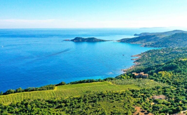 Ramatuelle: Tracks & Tasting Winery Tour by Mountain E-Bike - Saint-Tropez Sightseeing: Balancing Leisure and Culture