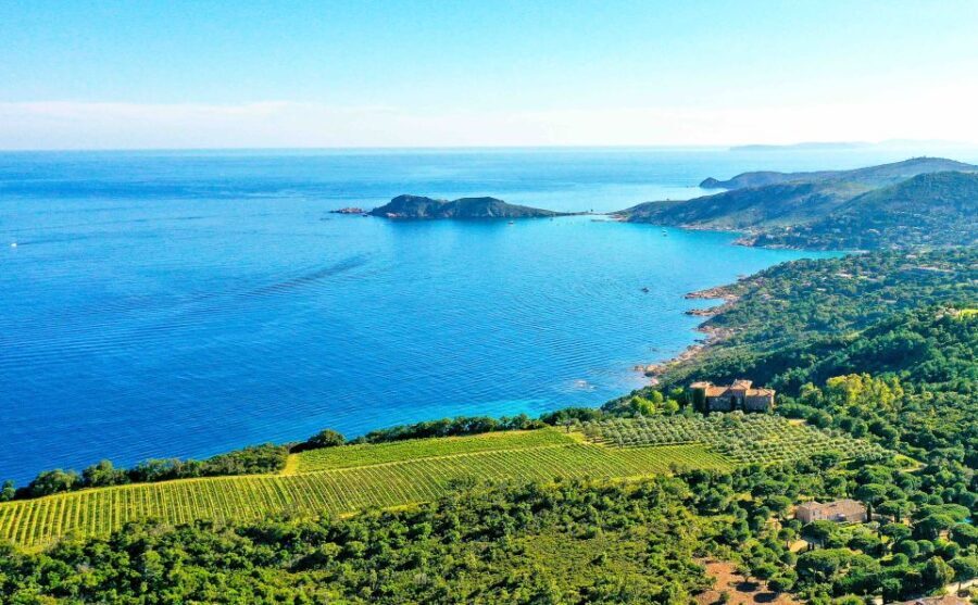 Ramatuelle: Tracks & Tasting Winery Tour by Mountain E-Bike - Saint-Tropez Sightseeing: Balancing Leisure and Culture