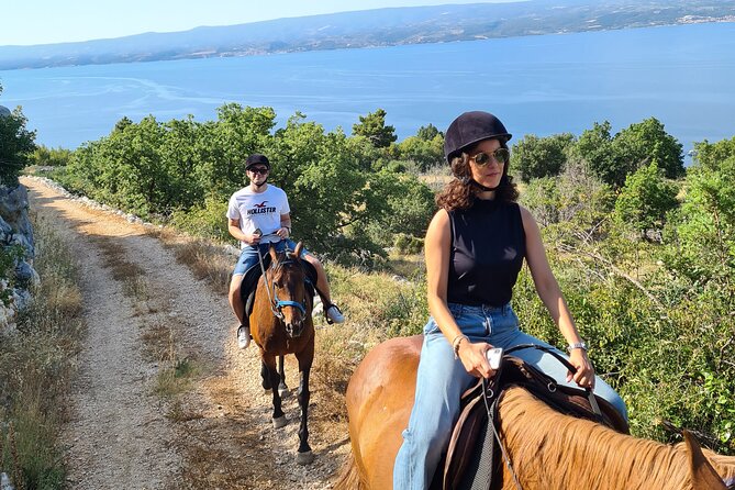 Ranch 22 Podstrana, " Horse riding 12 km from SPLIT " - Introduction