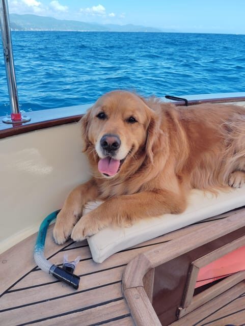 Rapallo: Pilates in Private Boat in Portofino with Breakfast or Aperitif - Who This Tour Is Perfect For