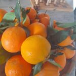 Realmonte: Sicilian cooking class & lunch - The Practical Details